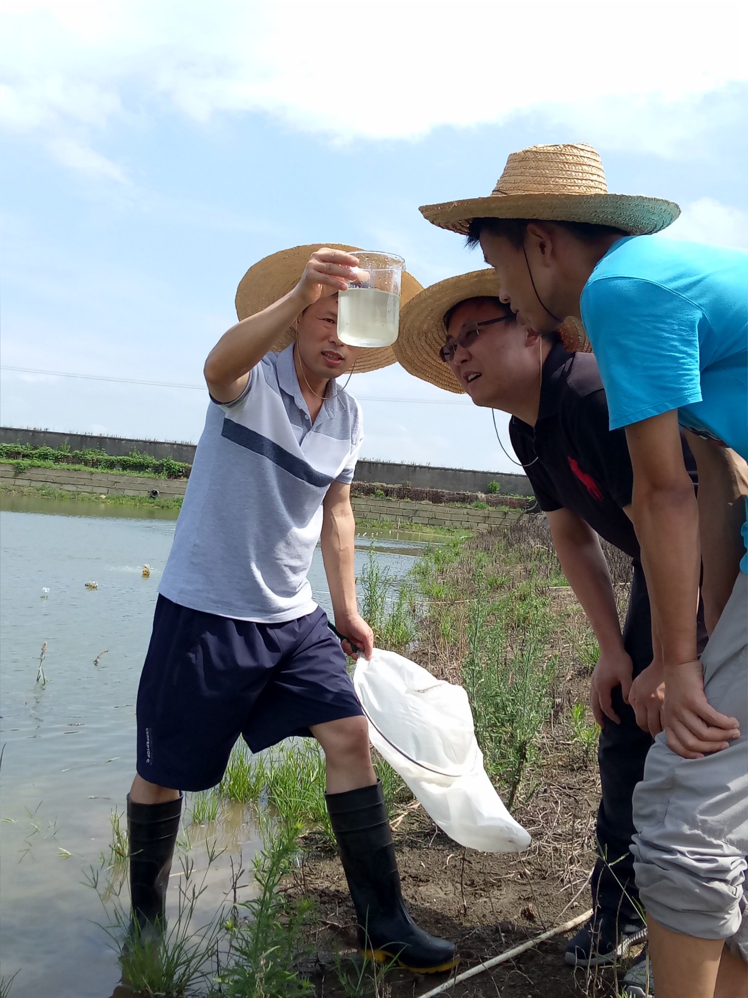 区水产站加强青虾生态育苗工作 美丽乡村 农业农村委 上海市青浦区人民政府