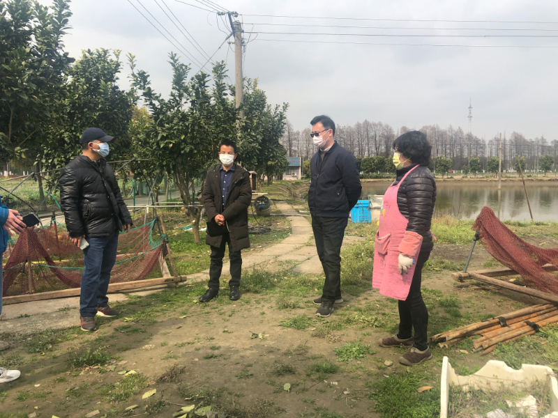 抗疫情 保生产 区水产站赴练塘镇水产专业合作社开展水产养殖技术指导服务 工作动态 农业农村委 上海市青浦区人民政府