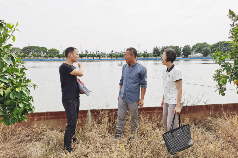 三农动态青浦区水产站组织科技人员赴金泽镇练塘镇开展台风梅花过境后水产养殖安全生产技术指导 图片新闻 农业农村委 上海市青浦区人民政府