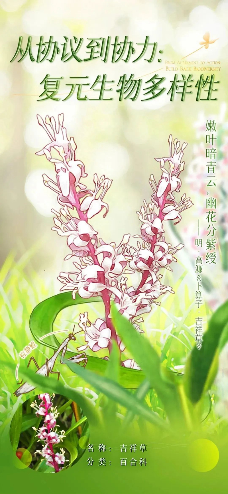 2023年上海市国际生物多样性日宣传海报发布主场活动即将举办 图片新闻 生态环境局 上海市青浦区人民政府
