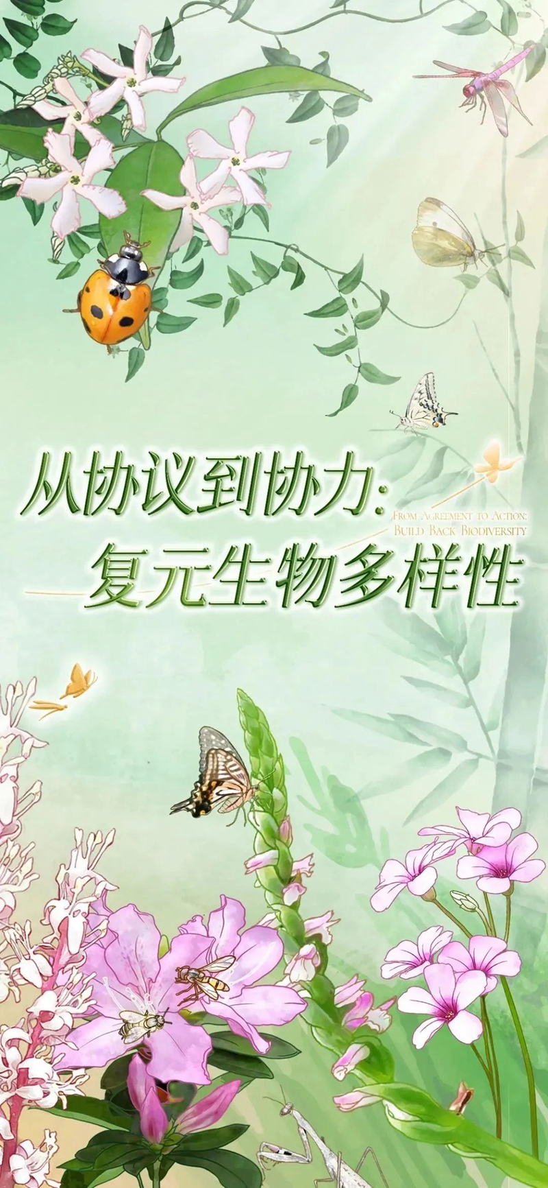 2023年上海市国际生物多样性日宣传海报发布主场活动即将举办 图片新闻 生态环境局 上海市青浦区人民政府