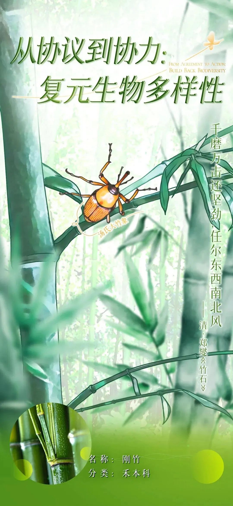 2023年上海市国际生物多样性日宣传海报发布主场活动即将举办 图片新闻 生态环境局 上海市青浦区人民政府