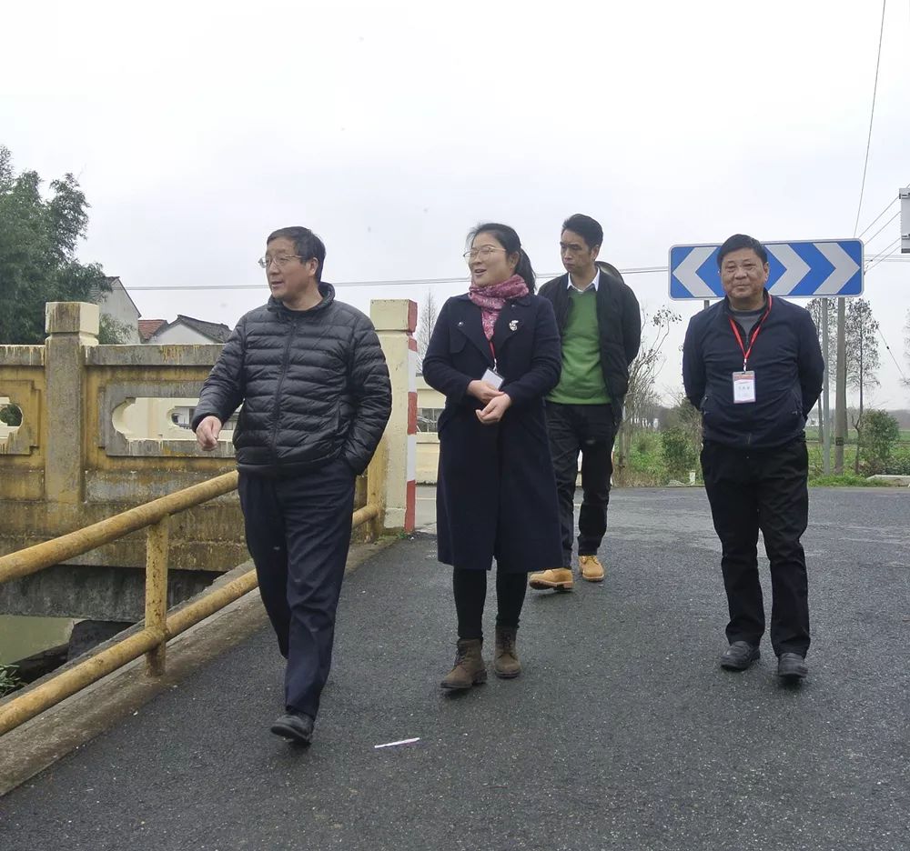 区生态治理办走进练塘镇开展无违村居创建复查工作 工作动态 练塘镇 上海市青浦区人民政府