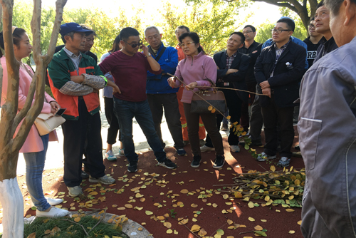 转变观念提升技能 青浦区绿化管理部门开展绿化养护知识综合培训 部门动态 新闻中心 上海市青浦区人民政府
