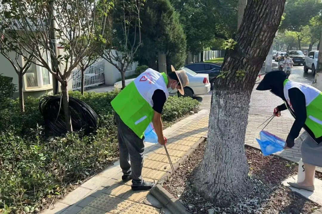 树文明新风建文明城市在华新镇巩固全国文明城区创建氛围越来越浓 图片新闻 新闻中心 上海市青浦区人民政府